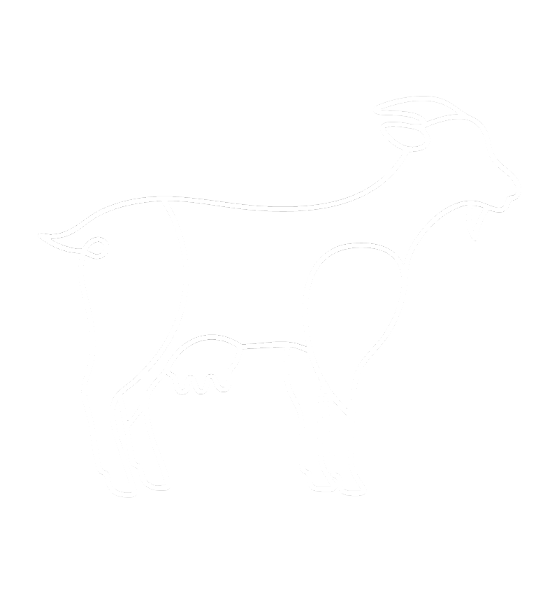 Power Pours Raw Goat Milk – ANSWERS Pet Food